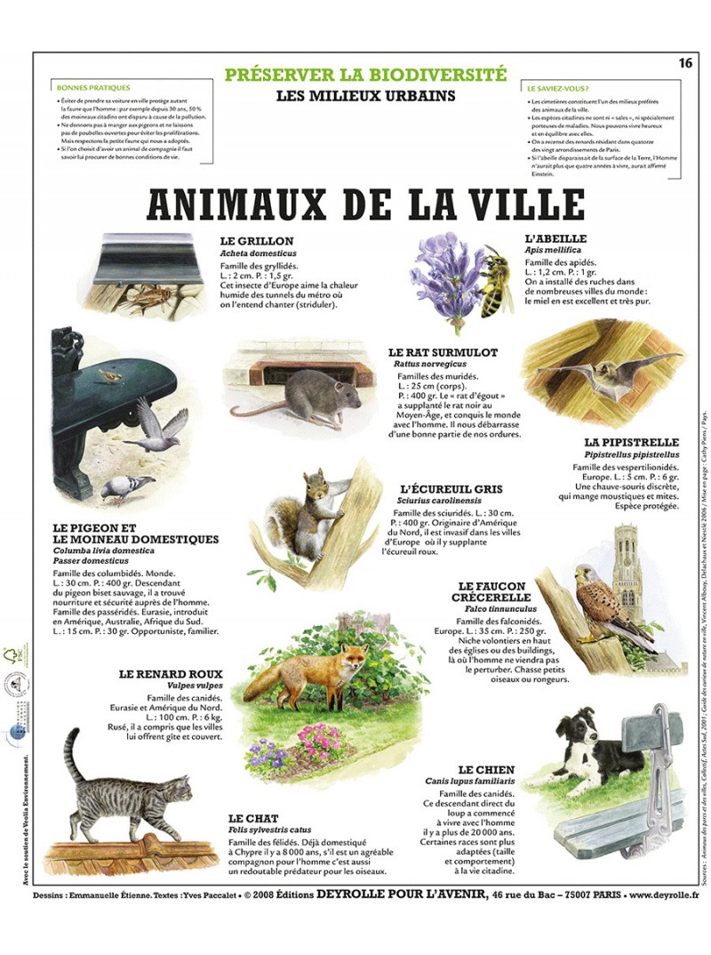 Ateliers et animations